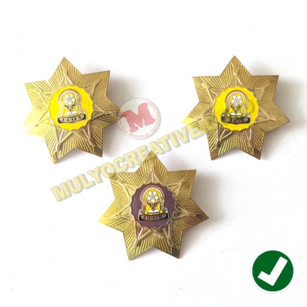 Lencana Pin Bintang Pengurus OSIS Sekolah Bahan Logam Murah | pesan ...