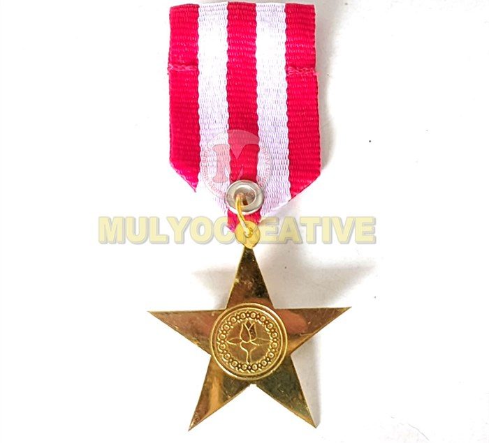 Medali Tanda Pangkat Paskibra Bintang Jasa Paskibra Tiska Tigor – pesan ...