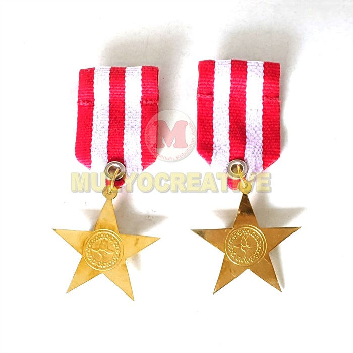 Medali Tanda Pangkat Paskibra Bintang Jasa Paskibra Tiska Tigor – pesan ...