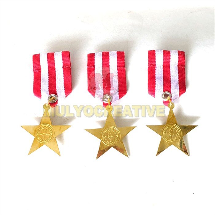 Medali Tanda Pangkat Paskibra Bintang Jasa Paskibra Tiska Tigor – pesan ...