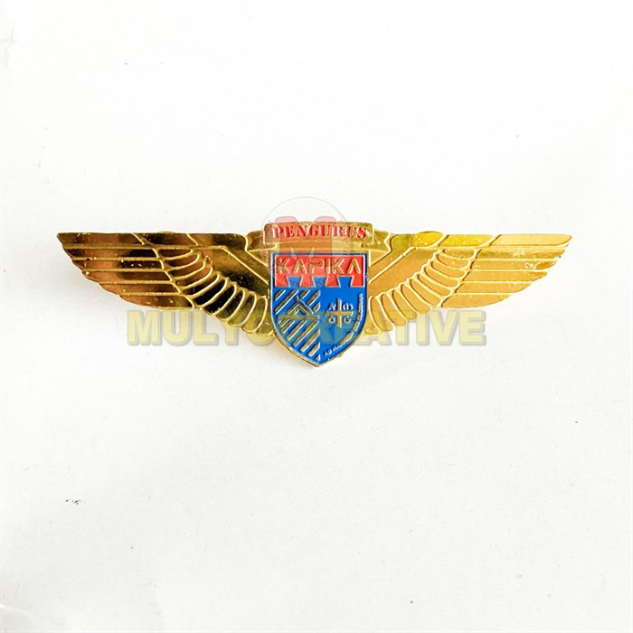 Jual Wing Kapika Brevet Pin Wing Pengurus Kapika Warna Gold – pesan ...